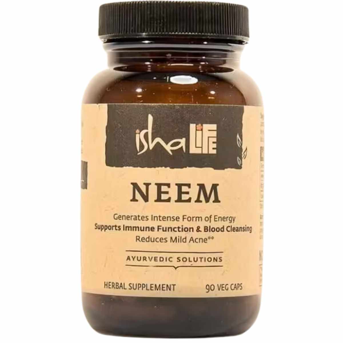 B079P4YBPJ.jpg?v=1725994637